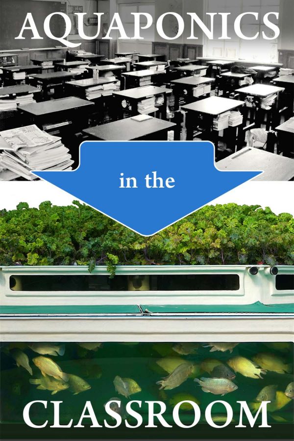 Aquaponics In The Classroom? - uPONICs, Hydroponics and Aquaponics ...